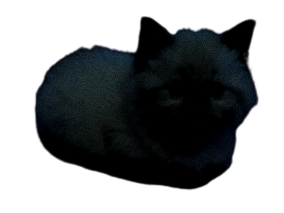 Angry Kitty | Kitty Run Wiki | Fandom