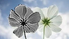 Category:Original Stories | Kitty Squad! Wiki | Fandom