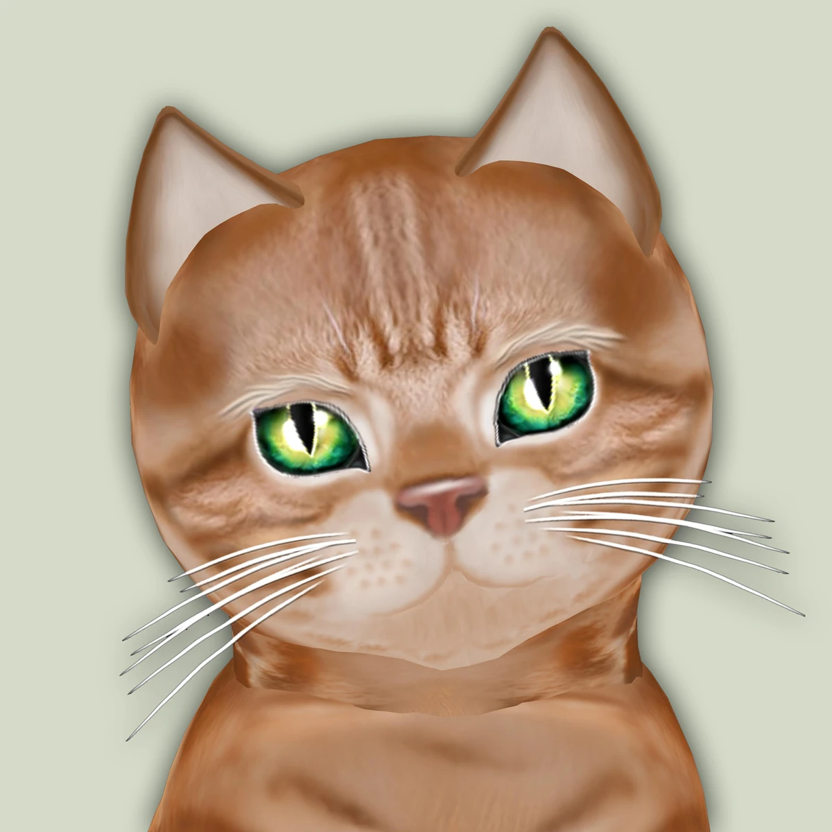 American Shorthair - Red Tabby (fur) | KittyCats! Breedables Wiki | Fandom