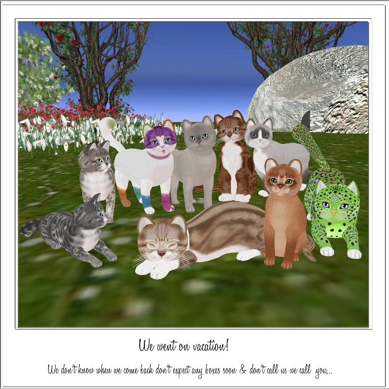 Category:Furs | KittyCats! Breedables Wiki | Fandom