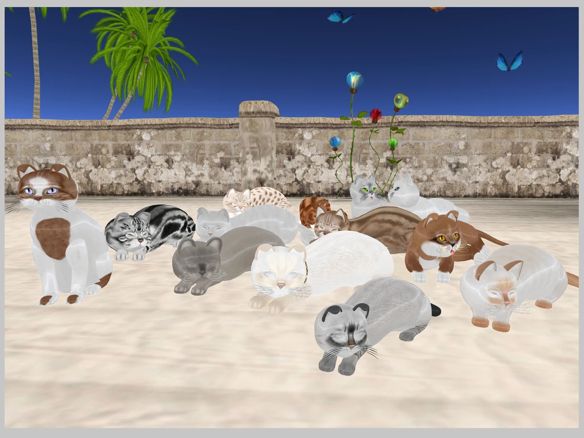 Breeds | KittyCats! Breedables Wiki | Fandom