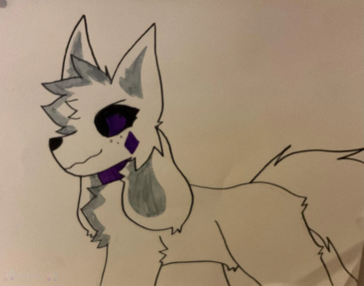 Pupy | Kittydog OCs Wiki | Fandom