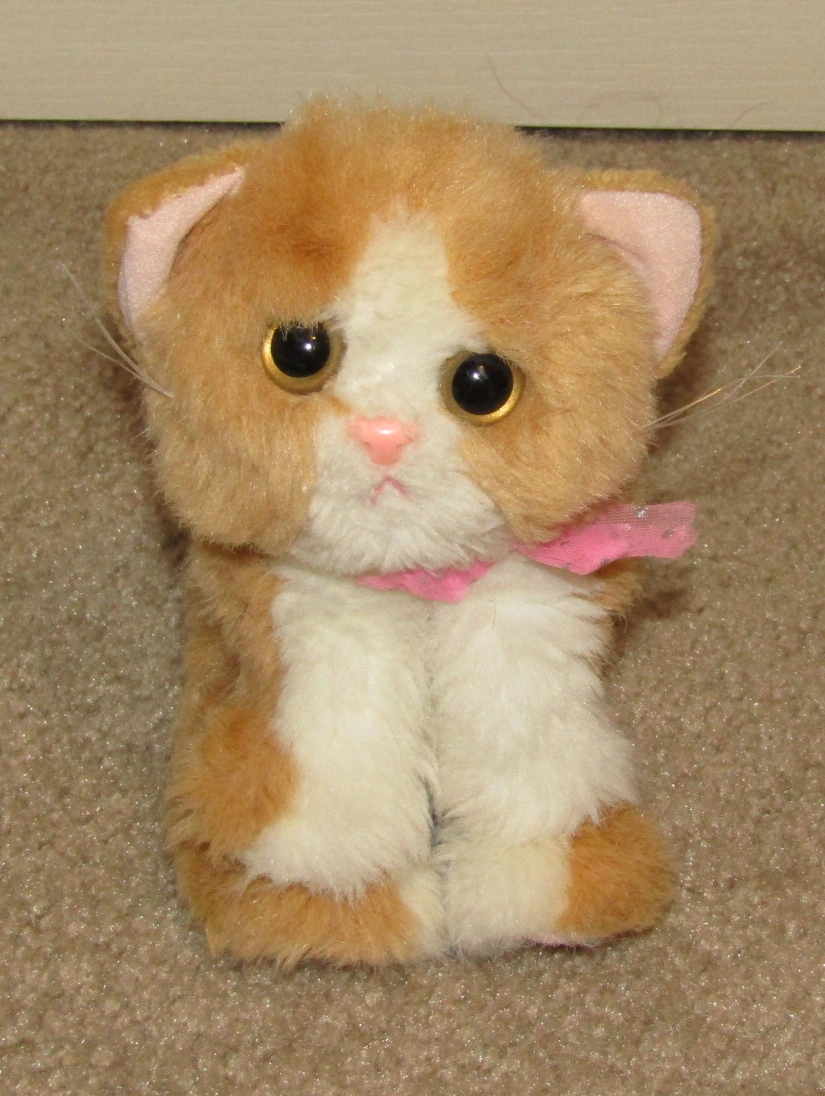 DSI Second Release | Kitty Kitty Kittens Wiki | Fandom