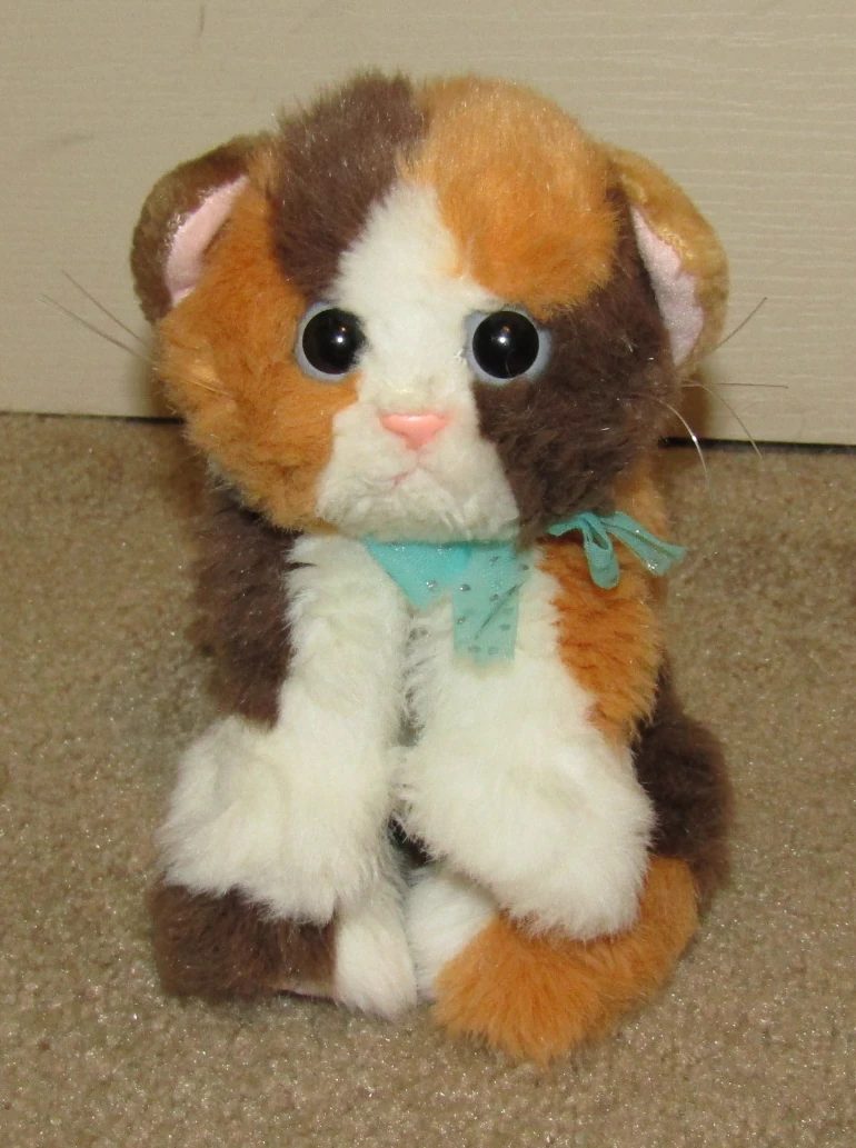 DSI Second Release- Rascal | Kitty Kitty Kittens Wiki | Fandom