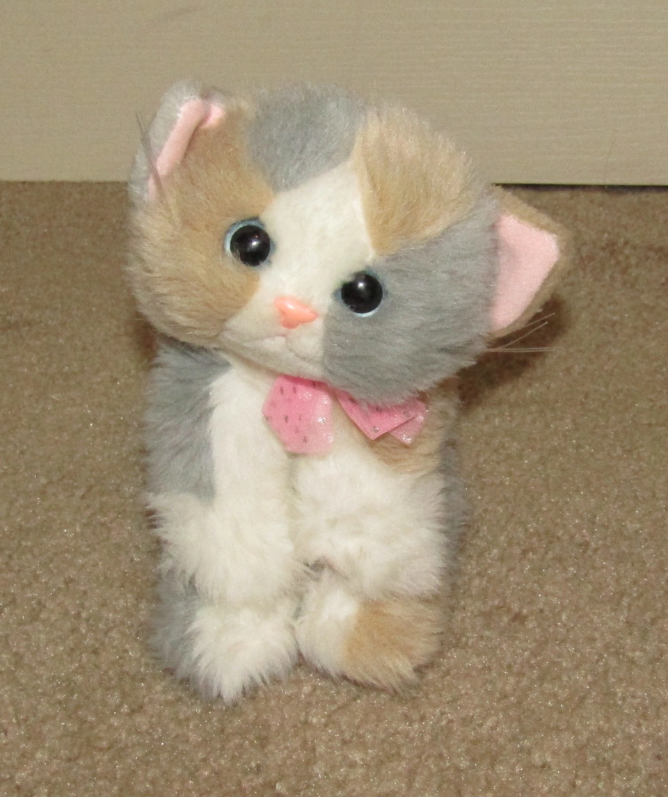 Category:Tan Fur | Kitty Kitty Kittens Wiki | Fandom