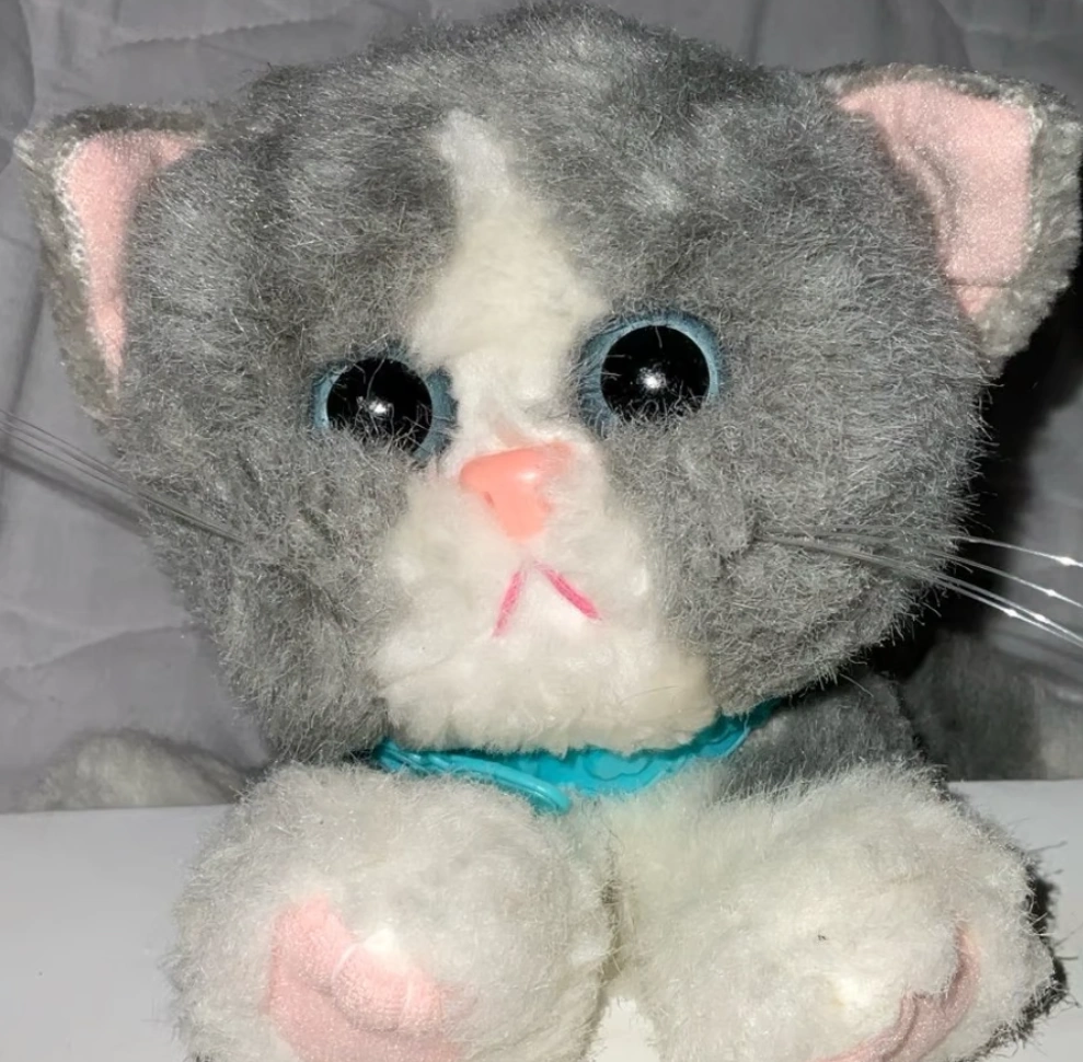 Hard Collar- Gray Tabby | Kitty Kitty Kittens Wiki | Fandom
