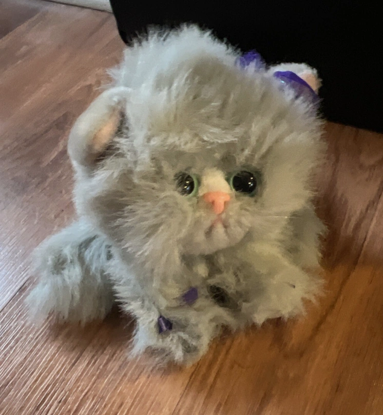 Kitty Kitty Fancy Kittens- Princess | Kitty Kitty Kittens Wiki | Fandom