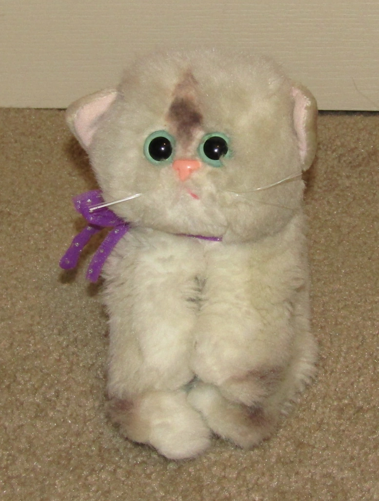 Sparkle Ribbon- Siamese Cream, White, and Brown | Kitty Kitty Kittens ...