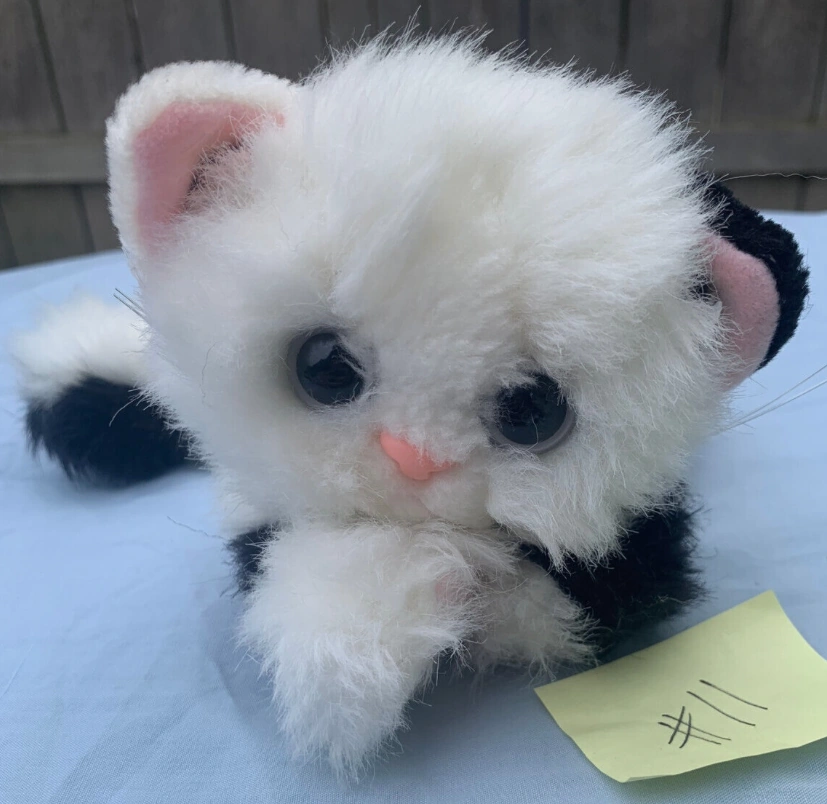 DSI Second Release- Pepper | Kitty Kitty Kittens Wiki | Fandom