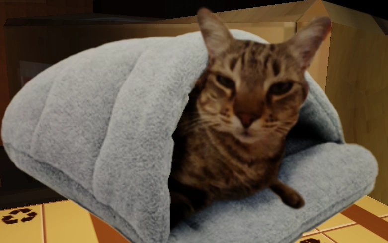 Kittyland Wiki | Fandom