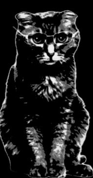 Kittyland Wiki | Fandom
