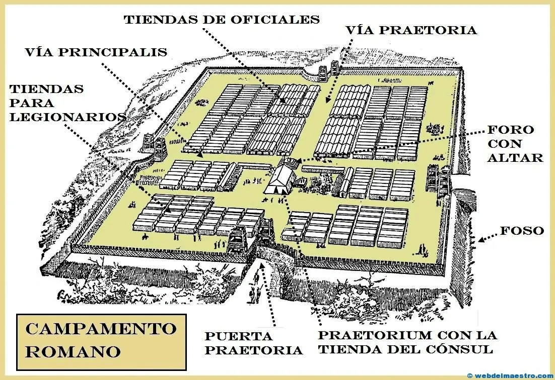 AC S209 | Kittyquest Wiki | Fandom