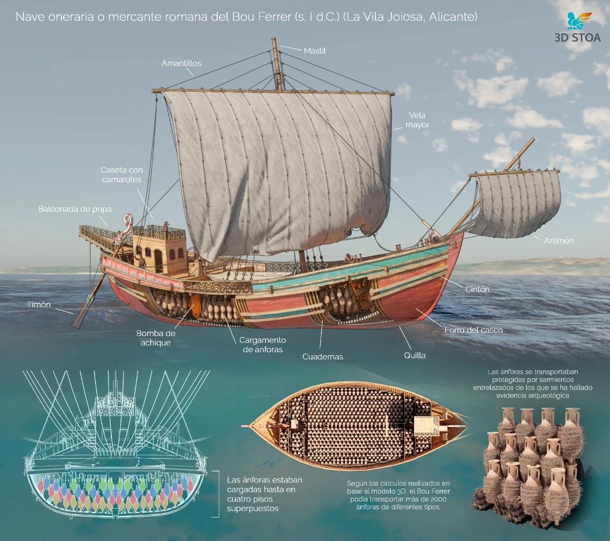 AC S019 | Kittyquest Wiki | Fandom