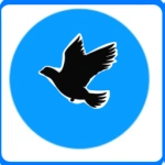 Pigeon Republic | Kiwi Takeover Wiki | Fandom