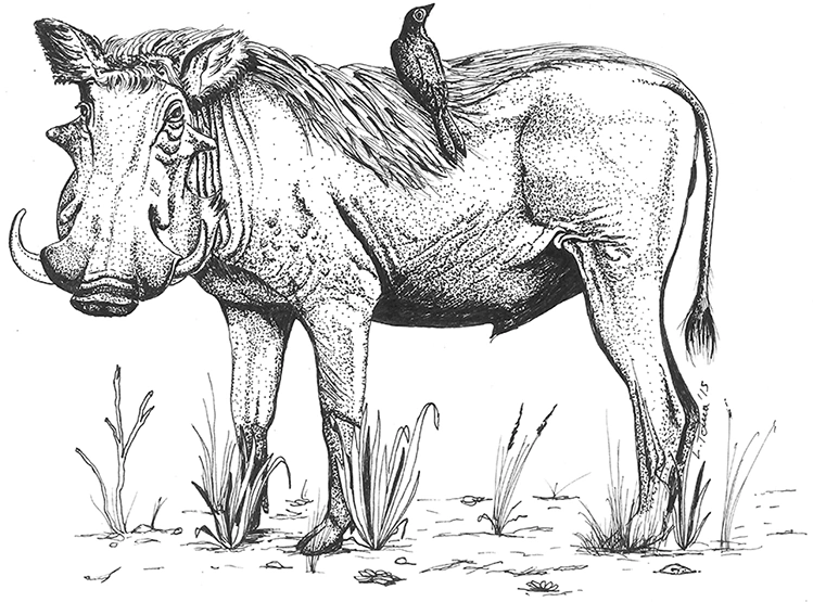 Guziec | KKD Remastered Wiki | Fandom