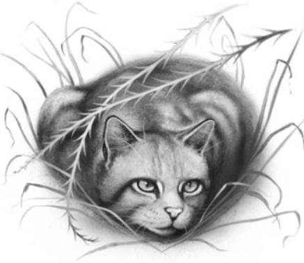 Garaste | Klanu Kaķu Wiki | Fandom