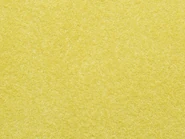 Splaat assets (Collective all) | Klasky-Csupo Wiki | Fandom