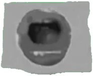 Splaat Prototype Assets | Klasky-Csupo Wiki | Fandom