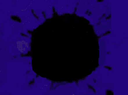 Hand Assets | Klasky-Csupo Wiki | Fandom