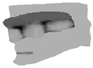 Splaat Prototype Assets | Klasky-Csupo Wiki | Fandom