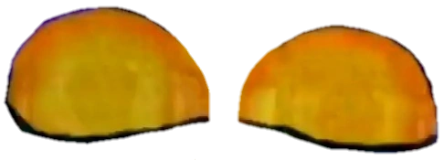 Splaat Assets New | Klasky-Csupo Wiki | Fandom