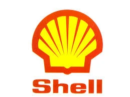 Shell | KLOCKI LEGO WIKI | Fandom