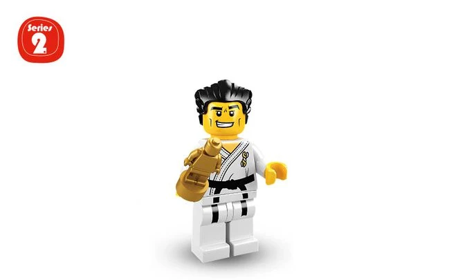 Mistrz karate | KLOCKI LEGO WIKI | Fandom