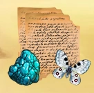 Chuck's Diary (Woodside Quest 1-5) | Klondike: The Lost Expedition Wiki ...