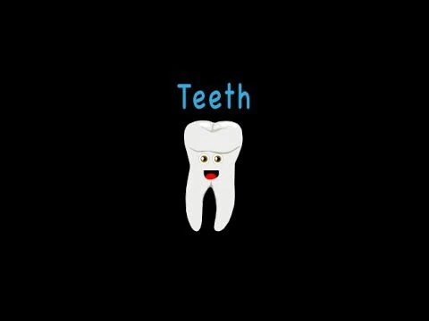 Teeth Song | KLT Geography Wiki | Fandom