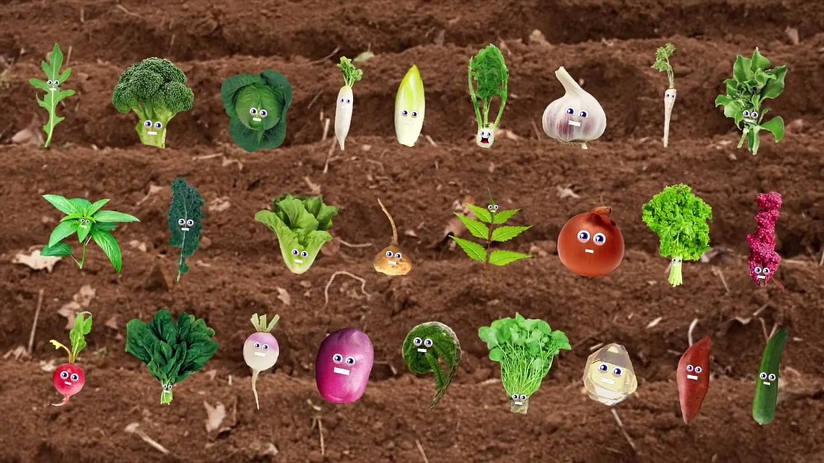 ABC Vegetables | KLT Geography Wiki | Fandom