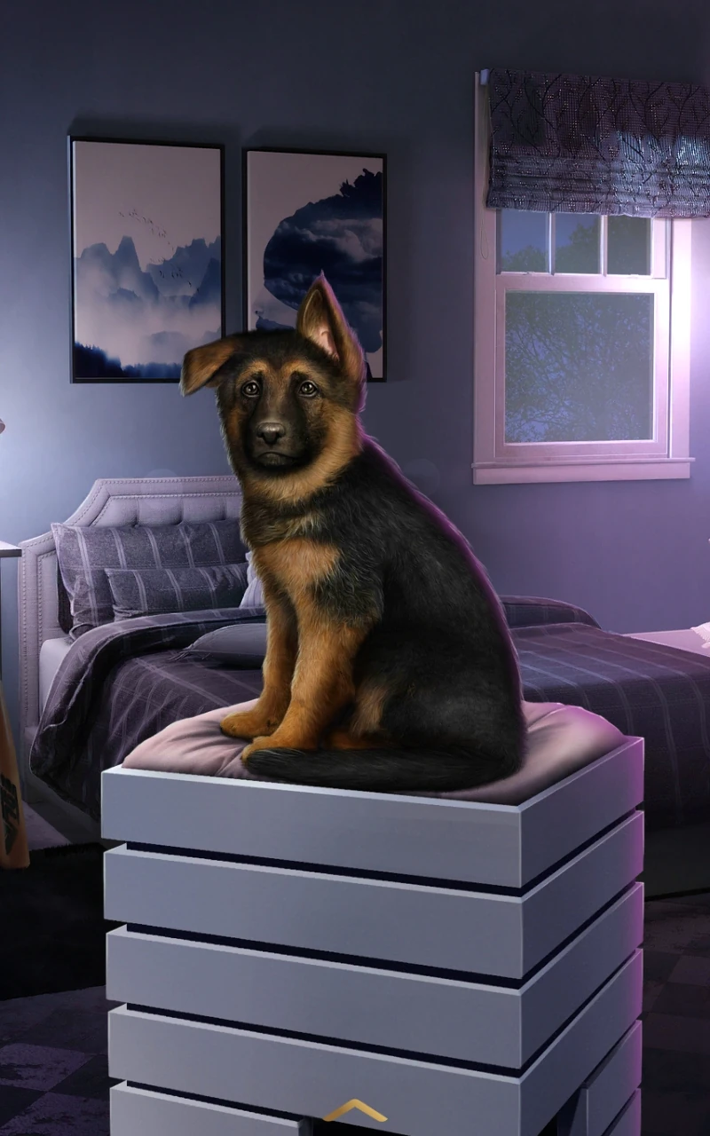 Zoomer | Klub Romantyki Polska Wiki | Fandom