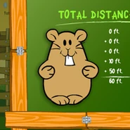 Hamsters | KND Code Module | Fandom