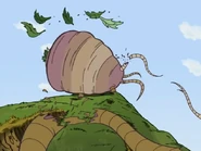 Operation: T.U.R.N.I.P./Gallery | KND Code Module | Fandom