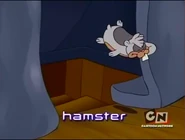 Hamsters | KND Code Module | Fandom