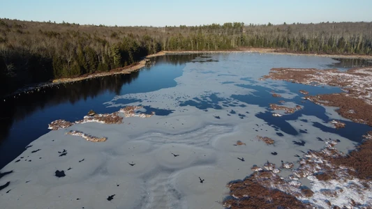 Knights Pond Universe Wiki | Fandom