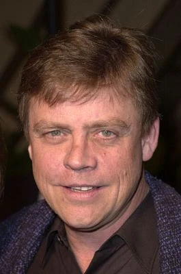 Mark Hamill | Knightfall Wiki | Fandom