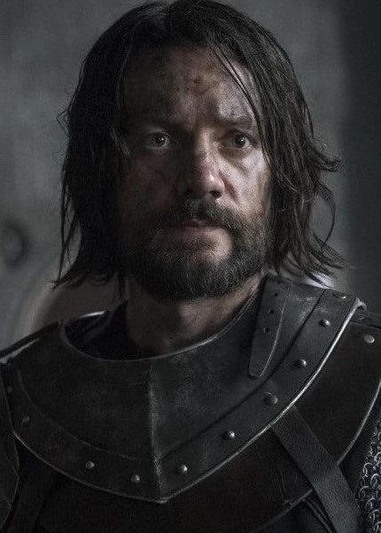 Gawain | Knightfall Wiki | Fandom