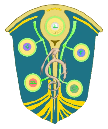 Arcane Emblem | Knights vs Dragons Wiki | Fandom