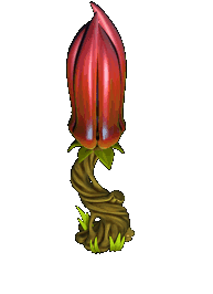 Night Bud | Knights and Brides Wiki | Fandom