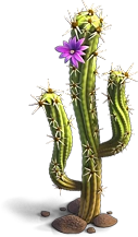 Cactus (resource) | Knights and Brides Wiki | Fandom