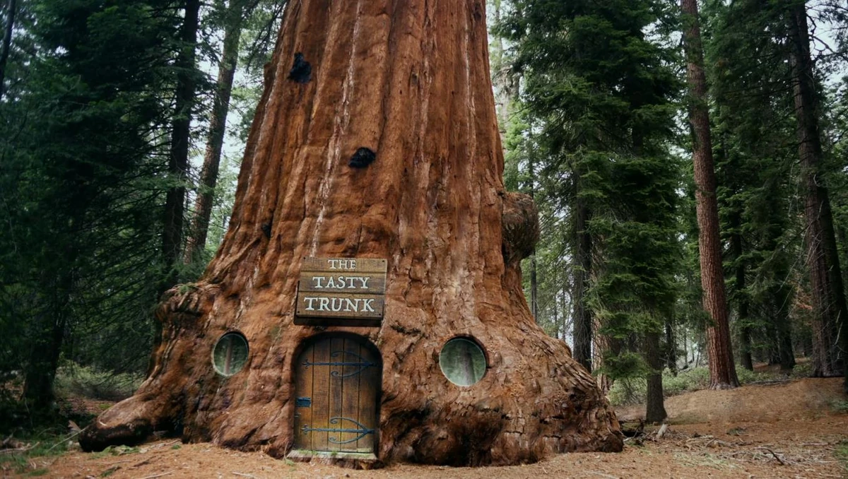 The Tasty Trunk | Knight Squad Wiki | Fandom