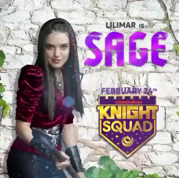 Sage | Knight Squad Wiki | Fandom