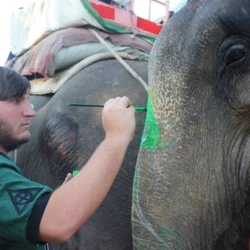 Matt Garner | Knights Wiki | Fandom