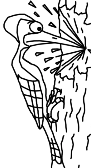 Picidae | Knock on Wood Wiki | Fandom