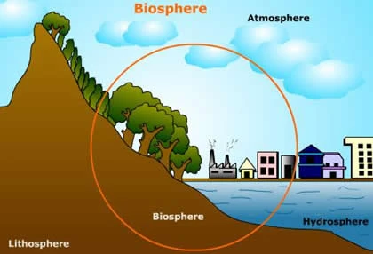 BIOSPHERE | KNOWINGTHEEARTH Wiki | Fandom