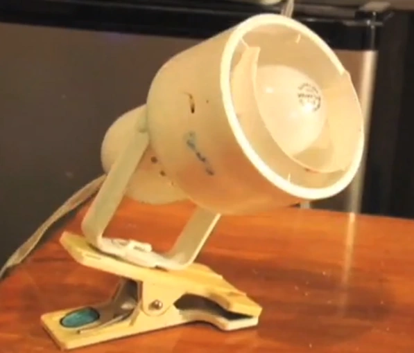 Lamps | The Benfer Wiki | Fandom