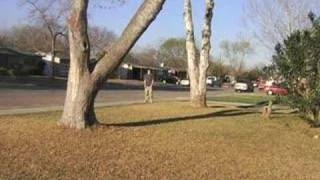 Where's Robert!: Round 1 | The Benfer Wiki | Fandom