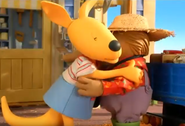 Sammy | The Koala Brothers Wiki | Fandom