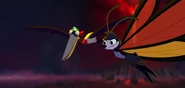 Xochi | Koati Wiki | Fandom
