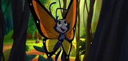 Xochi | Koati Wiki | Fandom